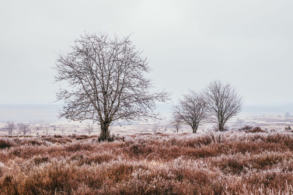 Crematorium Ukkel - Kalender plechtigheden AIC Heirbrant
